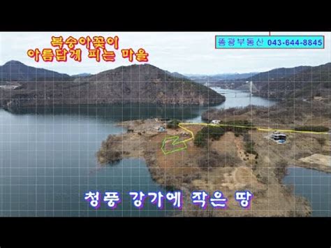매물번호 002 청풍면 도화리 복숭아꽃 피는 마을 호수와 맞닿은 작은토지 YouTube