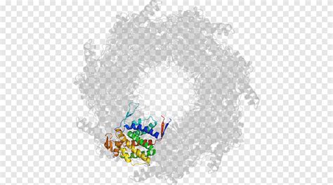 Desktop Computer Computer Text Computer Png Pngegg