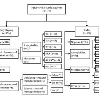 Overall Results Of Karyotyping And Chromosomal Microarray Analysis In Download Scientific