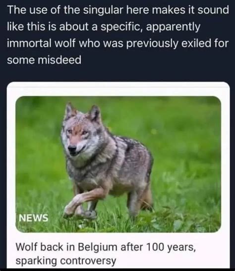 Sex And Shenanigans Page 6985 Literotica Discussion Board