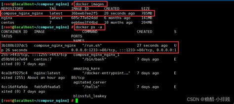 Docker：（九）compose容器编排工具docker Compose Ps Csdn博客