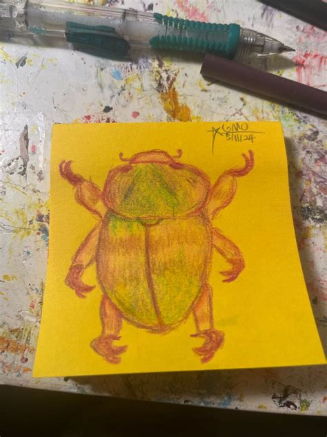 Beetle Collage Beetle Collage Insects Bugs