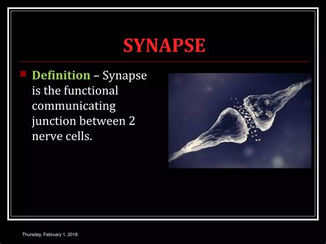 Synapse Ppt Synapse Ppt