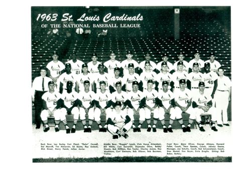 1963 St Louis Cardinals 8x10 Team Photo Musial Gibson Baseball