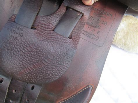 17″ Antares Evolution Calf X Wide Tree 2020 Model Maryland Tack