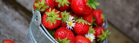 Jorge Implementing A Rate Limiter In C I Token Bucket Algorithm