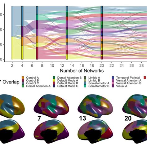 Figure S1 Non Negative Matrix Factorization Nmf For Functional Brain Download Scientific