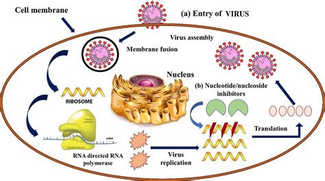 Nucleotide New Circuit Made Of Dna Has Everything Wired In Chemistry