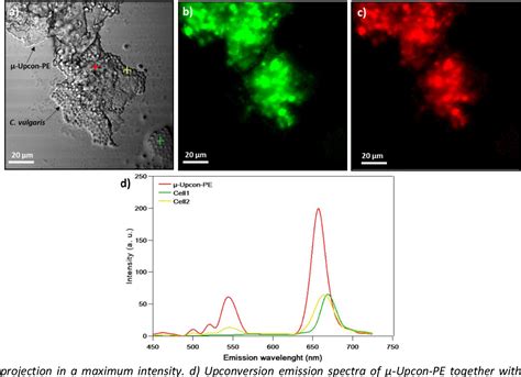 Figure 5 From The Role Of Microplastics In Microalgae Cells Aggregation