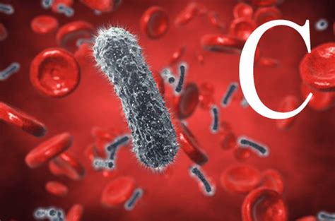 Transcaucasian Doctors League ამიერკავკასიის ექიმთა ლიგა ჯანსაღი და დაბალანსებული კვება