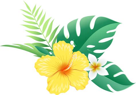 Flores De Hibisco Na Folha Tropical 19050310 Png