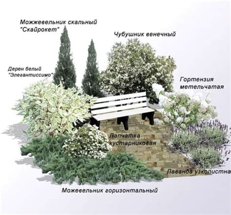 Белая клумба в 2024 г Композиции цветников Идеи озеленения Клумбы