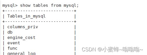 Mysql数据库管理mysql查看数据库 Csdn博客