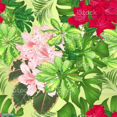 열 대 꽃과 꽃다발 꽃 배열 아름 다운 빨간색과 분홍색 진달래의 Schefflera Philodendron 및 선인장 자연 배경 빈티지 벡터 일러스트 편집 가능 0명에 대한