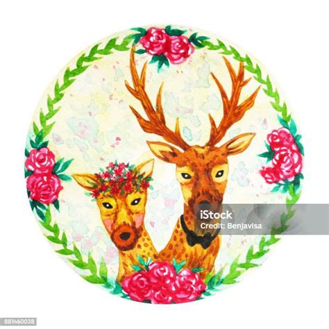 커플 사슴 꽃 화 환 축 하 수채화 그림 메리 크리스마스 새 해 발렌타인 0명에 대한 스톡 벡터 아트 및 기타 이미지 0명 12월 31일 계절 Istock