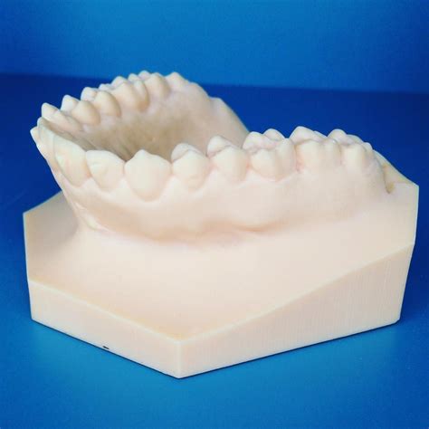 Stafano Previtali On Instagram Dentistry Stereolithography Envisiontec Italy Stl Step3d