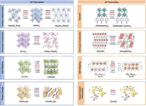 Wiley 长沙可研易绘信息科技有限公司 科研绘图 期刊封面设计 论文插图设计 科学动画 绘图培训
