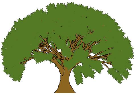 Free Tree Outlines Download Free Tree Outlines Png Images Free ClipArts On Clipart Library
