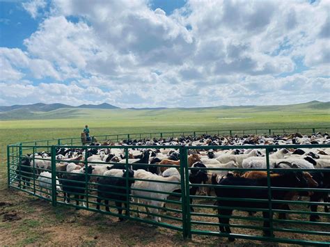 Дуучин Оюунбат Бадралмаа Home