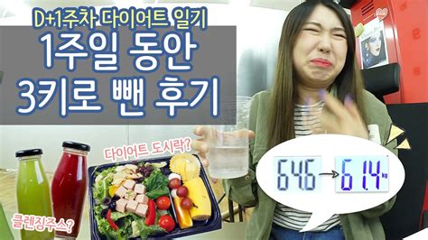 샒의삶 리얼 다이어트 후기 D1주일간 3kg 감량 식단 운동 계획표 작성 Vlog 다이어트 도시락 클렌징 주스 Youtube