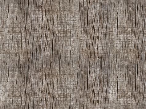 Branch Tree Texture To Download ManyTextures