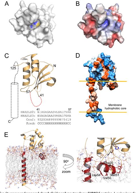 Figure 9 From Structural Basis For The Acyltransferase Activity Of