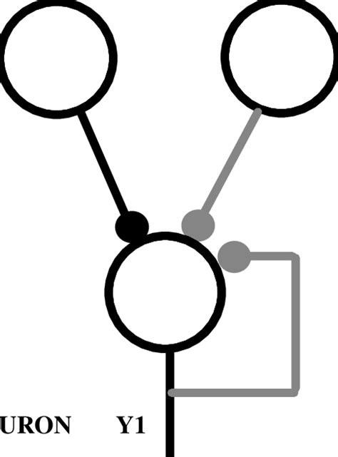 One Bit Memory With One Formal Neuron 12d Download Scientific Diagram