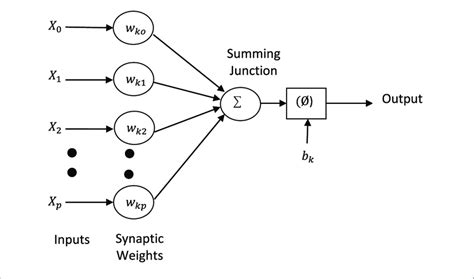Architecture Of Artificial Neural Network Download Scientific Diagram