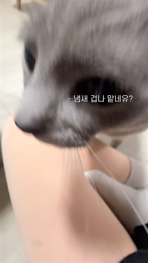 김밍 🐰 2탄 겨울에는 옷을 사야해요 ~ 50만원치 에이블리 택배깡 📦 Instagram