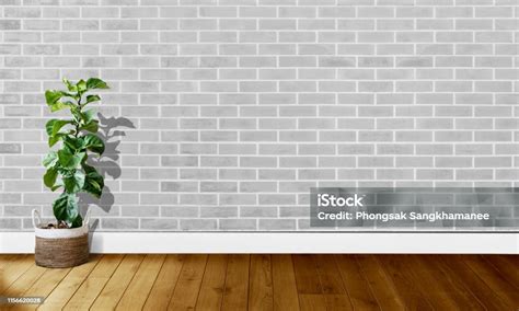나무 바닥과 나무와 나무와 흰색 회색 벽돌 벽 자연 채광 배경 사진 0명에 대한 스톡 사진 및 기타 이미지 0명 3차원 형태 개념 Istock