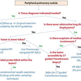 Algorithm For The Management Of Pulmonary Nodules Diagnosis And Download Scientific Diagram