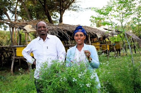 Biodiversity Bee Pollinators Alexander Macpherson Msc