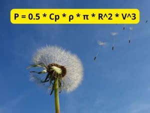 Understanding Wind Turbine Efficiency Energy Transition Info