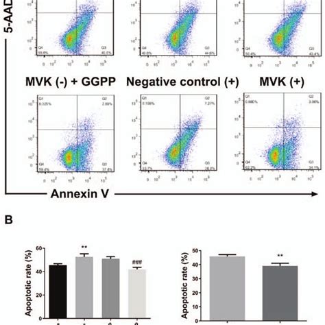 Scheme 5 Reaction Schemes Involved In Orac Assay For The Detection Of Download Scientific