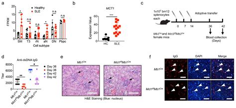 生命科学联合中心