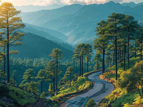 Top 6 Hidden Road Trip Routes From Kasauli Himachal Pradesh