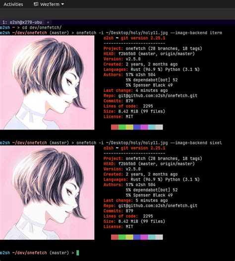 Incorrect Cursor Position After Drawing Image Iterm Inline Image Protocol · Issue 317