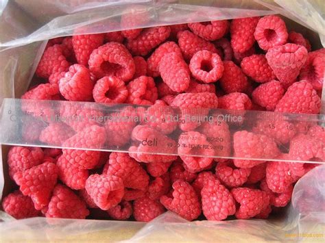 Iqf Raspberry Brokenchina Price Supplier 21food