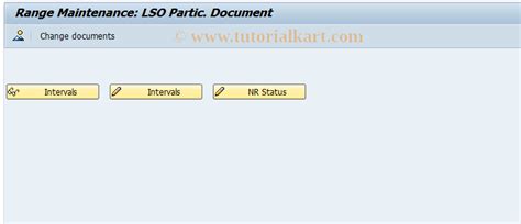 LSO TP C SAP Tcode LS Participation Document