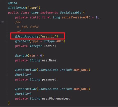 开发时实体类编写时需要注意的细节以及常用的一些注解 于道 博客园