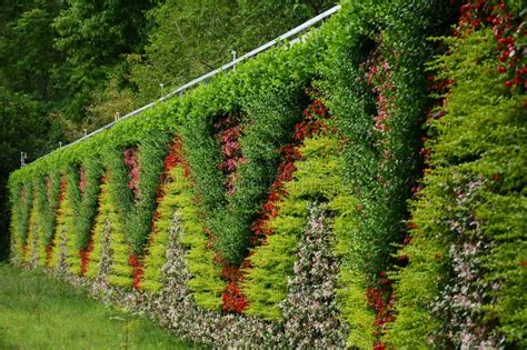 Muro Verde Com Tipos De Plantas Flores Verdes Cor De Rosa Foto De Stock Imagem De Jardim