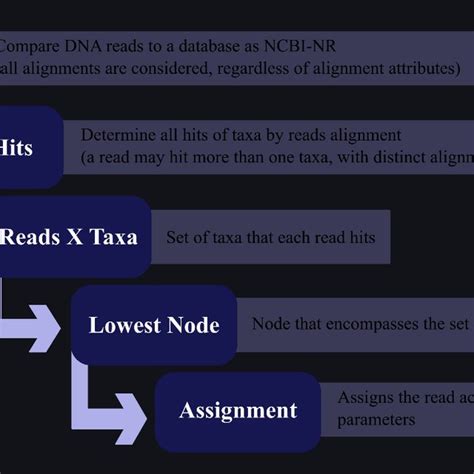 Lowest Common Ancestor Lca Algorithm And Taxonomic Binning According Download Scientific