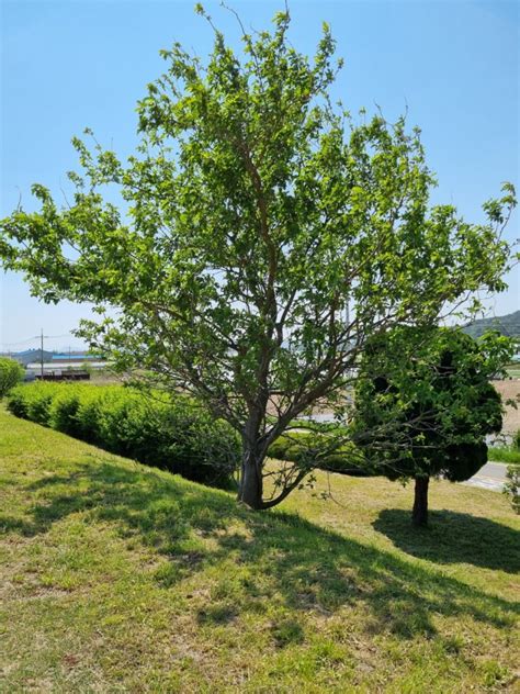 구형컴퓨터 모니터 불용폐기 회사컴퓨터 사무실 관공서 기업체 정보보안삭제 It자산 폐기 네이버 블로그