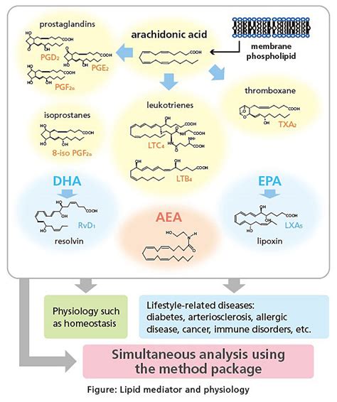 LC MS MS Method Package For Lipid Mediators Features SHIMADZU