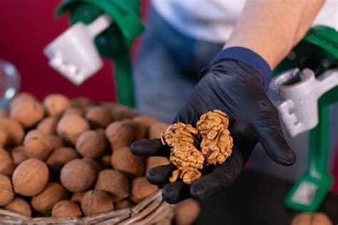 Walnut Processing Line ‘whole Kernel Nuttechnology