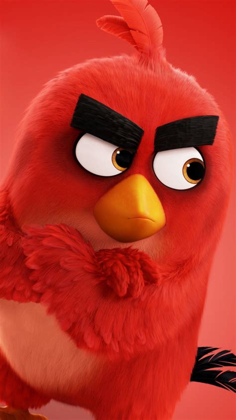 Angry Bird Red Wallpaper