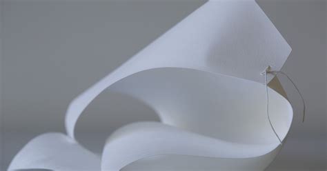 Stacey Evans Exhibitions Bond Millen Gallery