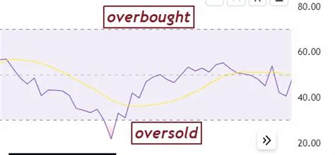 Relative Strength Index RSI PDF Guide Trading PDF
