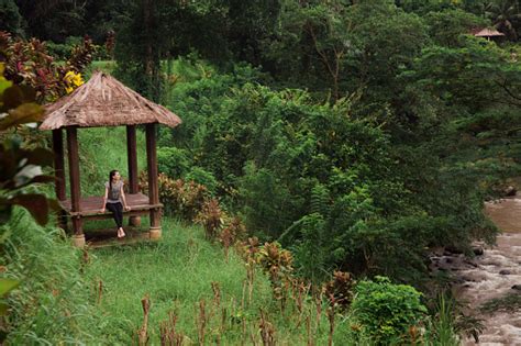 발리의 녹색 밭에서 야외에서 정자에 앉아있는 젊은 여성 자연 개념과의 통일성 우부드에 대한 스톡 사진 및 기타 이미지 우부드 요가 20 24세 Istock