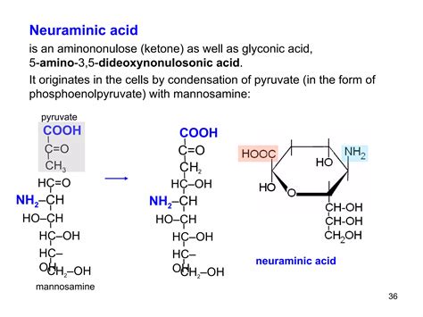 09 Monosaccharides And Oligosaccharides Ppt